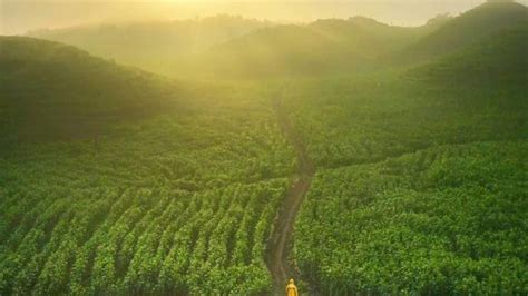 Foto Mengintip Hidden Gem Di Gunungkidul Jogja Yakin Udah Pernah Ke Sini