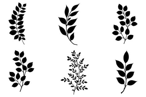 Premium Vector Set Of Branches With Leaves And Stem Silhouette Vector