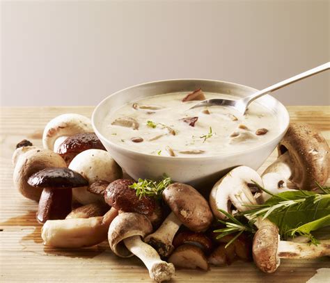 Nos Meilleures Recettes De Champignons