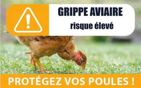 Risque élevé de grippe aviaire Ville de Cers