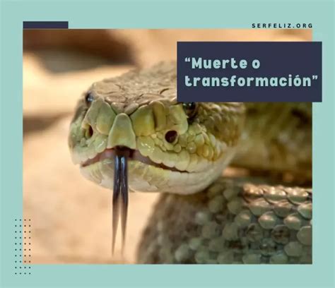 Soñar con Serpientes Significados y Simbolismos SerFeliz