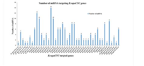 Graphical Description Of The MiRNA Targeting Cyclin Genes In Brassica