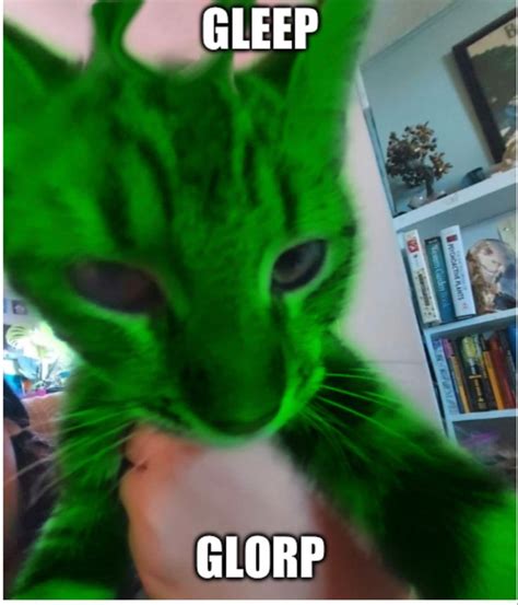 Pin By Vinta On Quick Saves Silly Cats Pictures Silly Cats Funny Cats