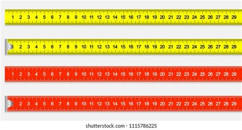Reglas Marcadas En Centímetros Y Pulgadas Vector De Stock 54 OFF