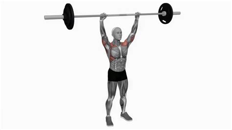 Barbell Standing Shoulder Press Fitness Exercise Workout Animation