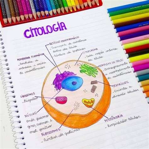 Biologia Imagens Estudo Das Celulas Citologia