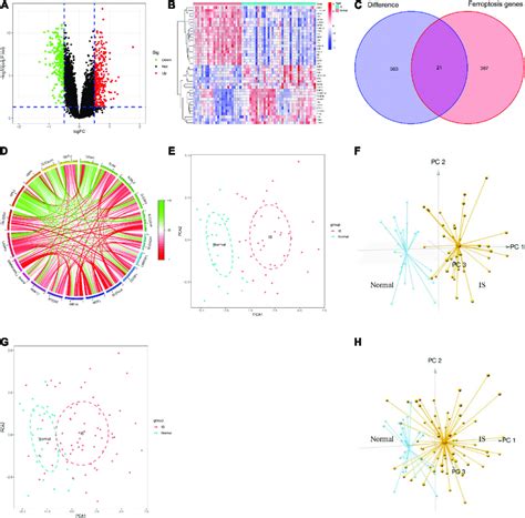 Analysis Of Differentially Expressed Genes A Screening Of DEGs Shown