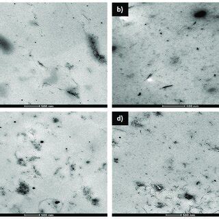 Transmission Electron Micrographs TEM From DL EB Samples Of 0 5 CNTs
