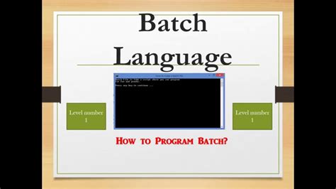 program batch 1 youtube