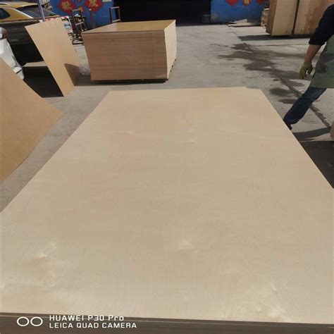 New Typle Poplar Hardwood Core Commercial Plywood Okoume Oak Birch