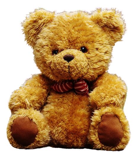 Teddy Bear PNG Image PurePNG Free Transparent CC0 PNG Image Library