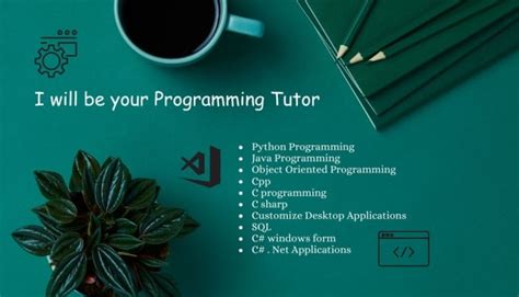 be your programming tutor for python java cpp c sharp and c programming by ss coding fiverr