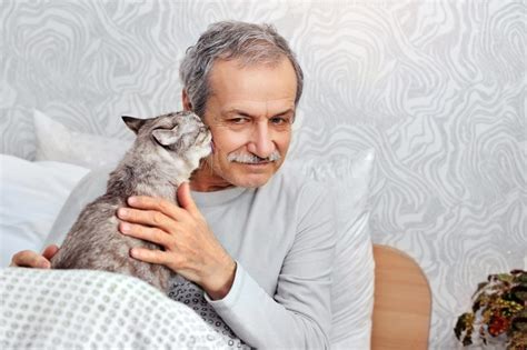 Por Qu Mi Gato Me Lame La Cara Razones Comunes