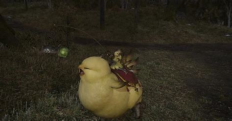 when this guy got offered as part of the ce upgrade i couldn t resist the oppurtunity imgur