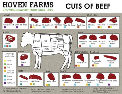 Beef Cow Diagram Cuts Of Beef