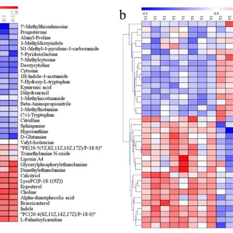 Heat Map Of Differential Metabolites Analyzed By The Hierarchical