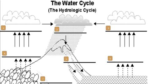 Hydrologic Cycle Diagram Blank At Tonya Bollman Blog