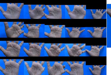 figure 1 from rotation and scale invariant bispectral feature based recognition of contactless