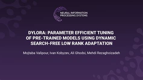 dylora parameter efficient tuning of pre trained models using dynamic