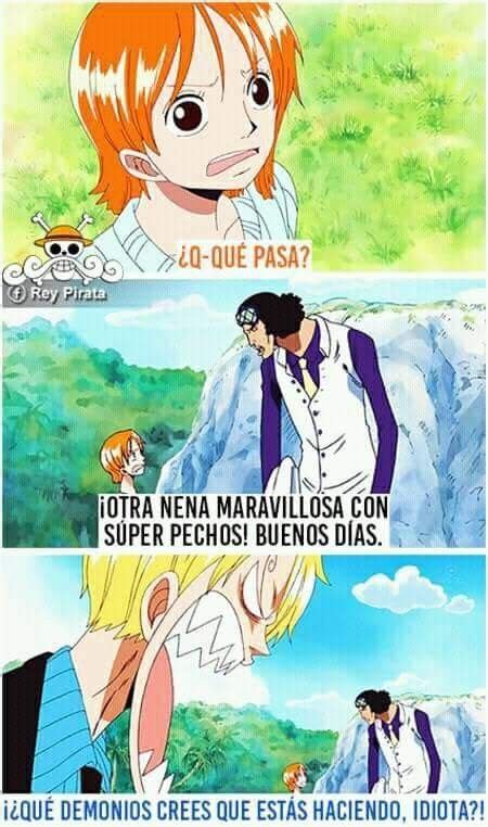 Pin de Cinthya Perez en One piece Imágenes hilarantes Dibujos