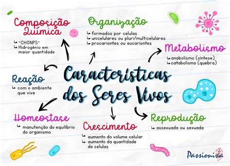 Mapa Mental Sobre Seres Vivos LIBRAIN