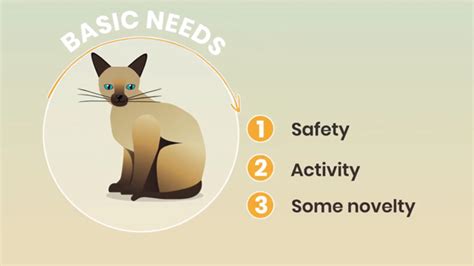 Cats 101 Fear Free Happy Homes
