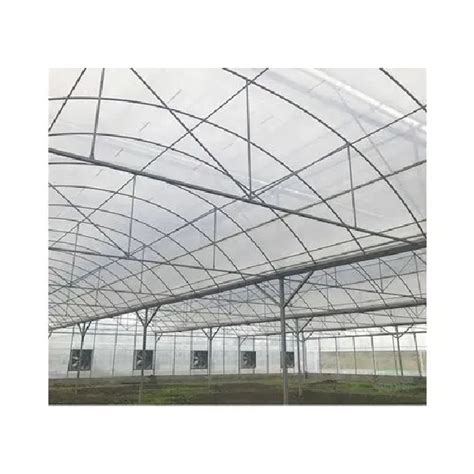 PVC Sheet Agricultural Greenhouse In Jhajjar Badrinarayan Steel Tubes