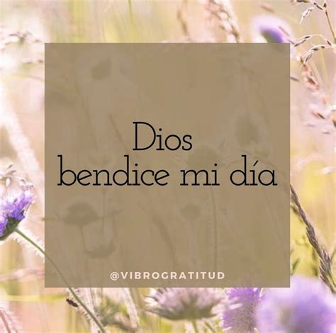 VIBRO GRATITUD Paula S Instagram Profile Post Dios Bendice Mi