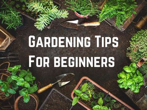 Raised Bed Soil Mix Recipe Learn To Grow Gardens
