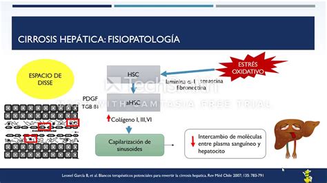 Módulo 8 Introducción a la cirrosis hepática YouTube