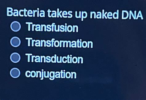 Solved Bacteria Takes Up Naked Chegg