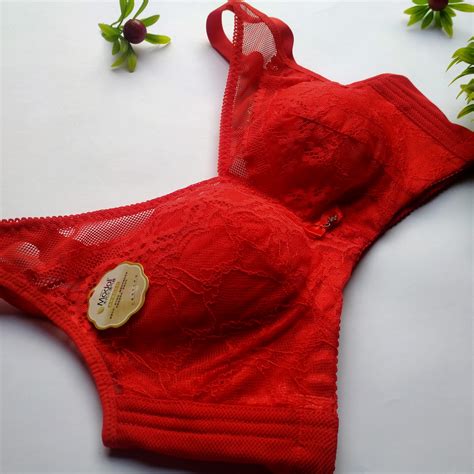 Padded Bridal Bra With Net Cover Sobrosepk