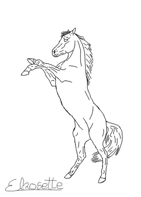 Coloriage Cheval Qui Se Cabre Coloriage A Imprimer Cheval Qui Saute