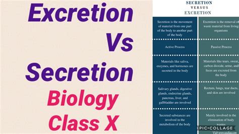 Excretion Vs Secretion