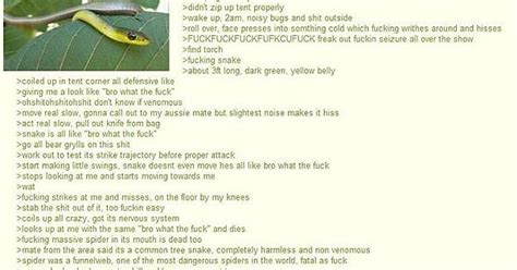 Bro What The Fuck Imgur