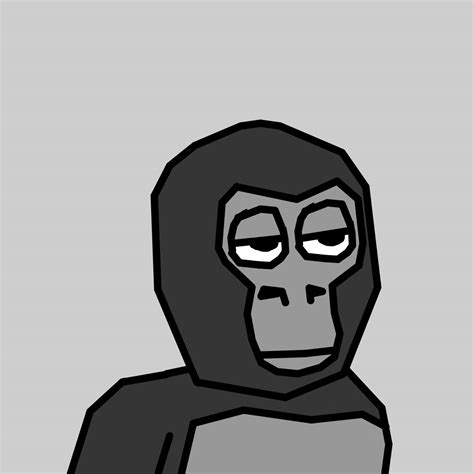 100 Gorilla Tag Pfp Wallpapers Wallpapers