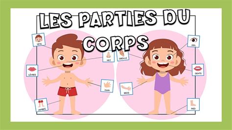 Las partes del cuerpo en francés Vocabulario YouTube