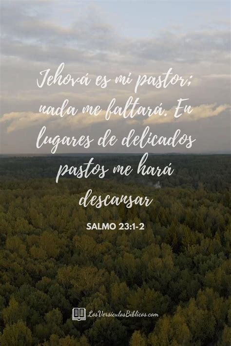 17 Ideas De Salmos De La Biblia Salmos Biblia Salmos De David