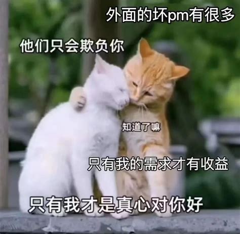 我不允许哪位产品经理 还没有这张表情包 轻识