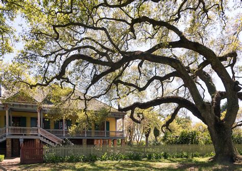 Best Things To Do In Louisiana Touropia Travel