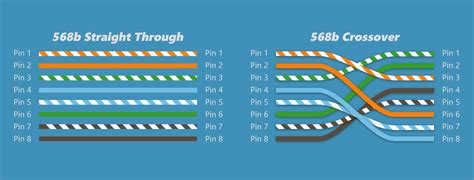 Ethernet Cable Vs Crossover Cable At Rosa Horn Blog
