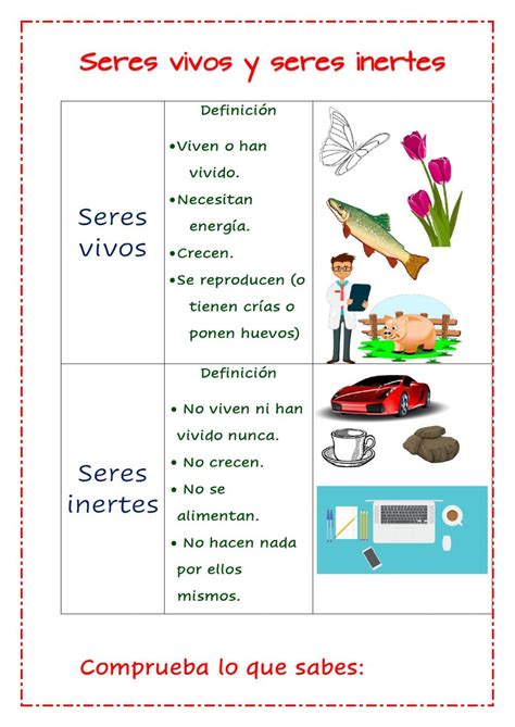 Actividades Para Segundo Grado Sobre Los Seres Vivos Kulturaupice