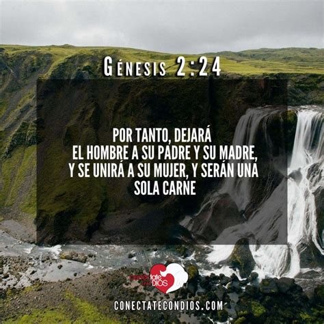 Los 7 Mejores Versículos Bíblicos sobre el Matrimonio Conéctate Con Dios