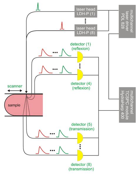 diffuse optical tomography and imaging picoquant