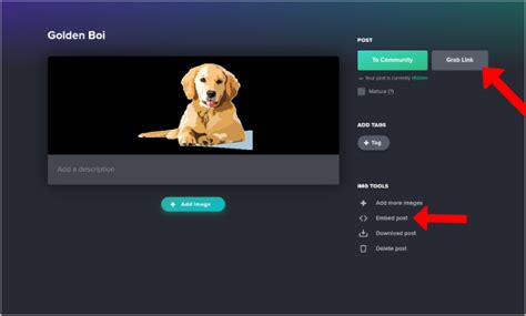How To Upload Images To Imgur On Desktop And Mobile Techwiser