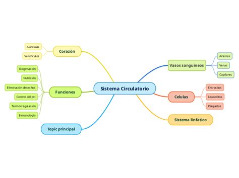 Sistema Circulatorio Mind Map