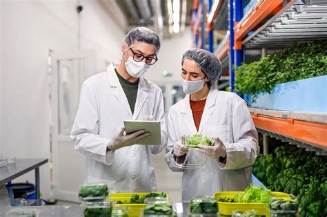 Marco estratégico de la FAO para el 2022 2031 Banco de Alimentos de