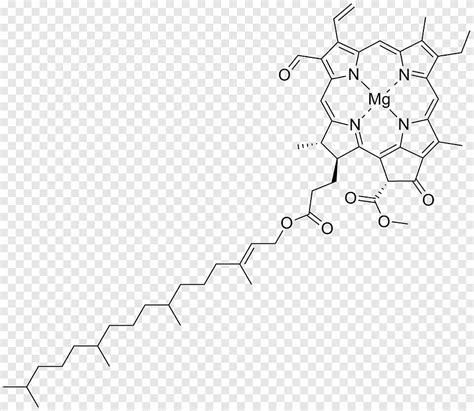 Chlorophyll A Chlorophyll B Synthetic Pigment Synthesis Structure