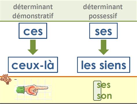 Les Homophones Ses Ces Cahier De Textes De Mme Marchina
