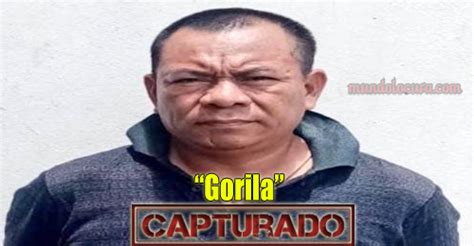El Salvador Capturan A Alias Gorila Peligroso Fundador De La Clica